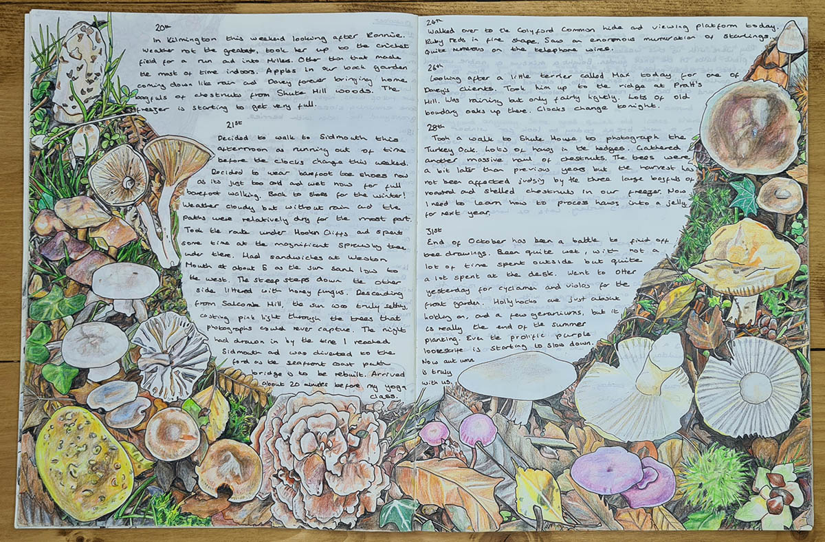 Nature Journaling - Alex Boon Art