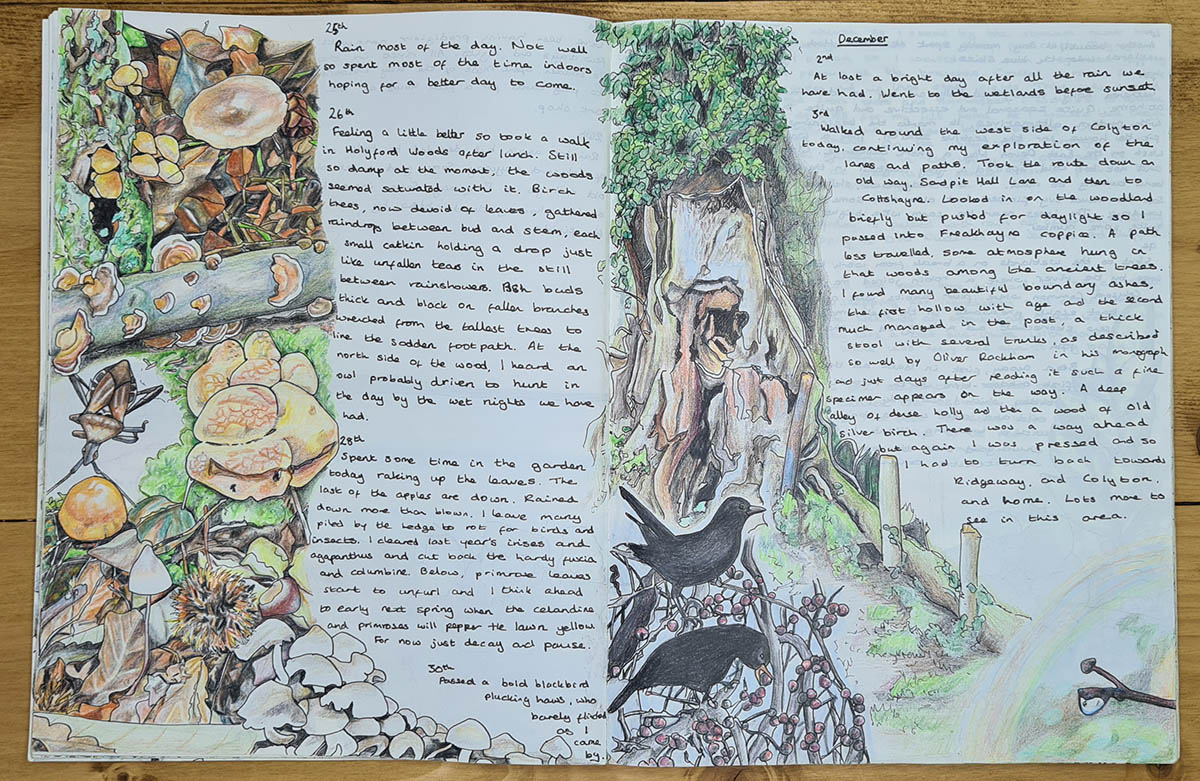 Nature Journaling - Alex Boon Art