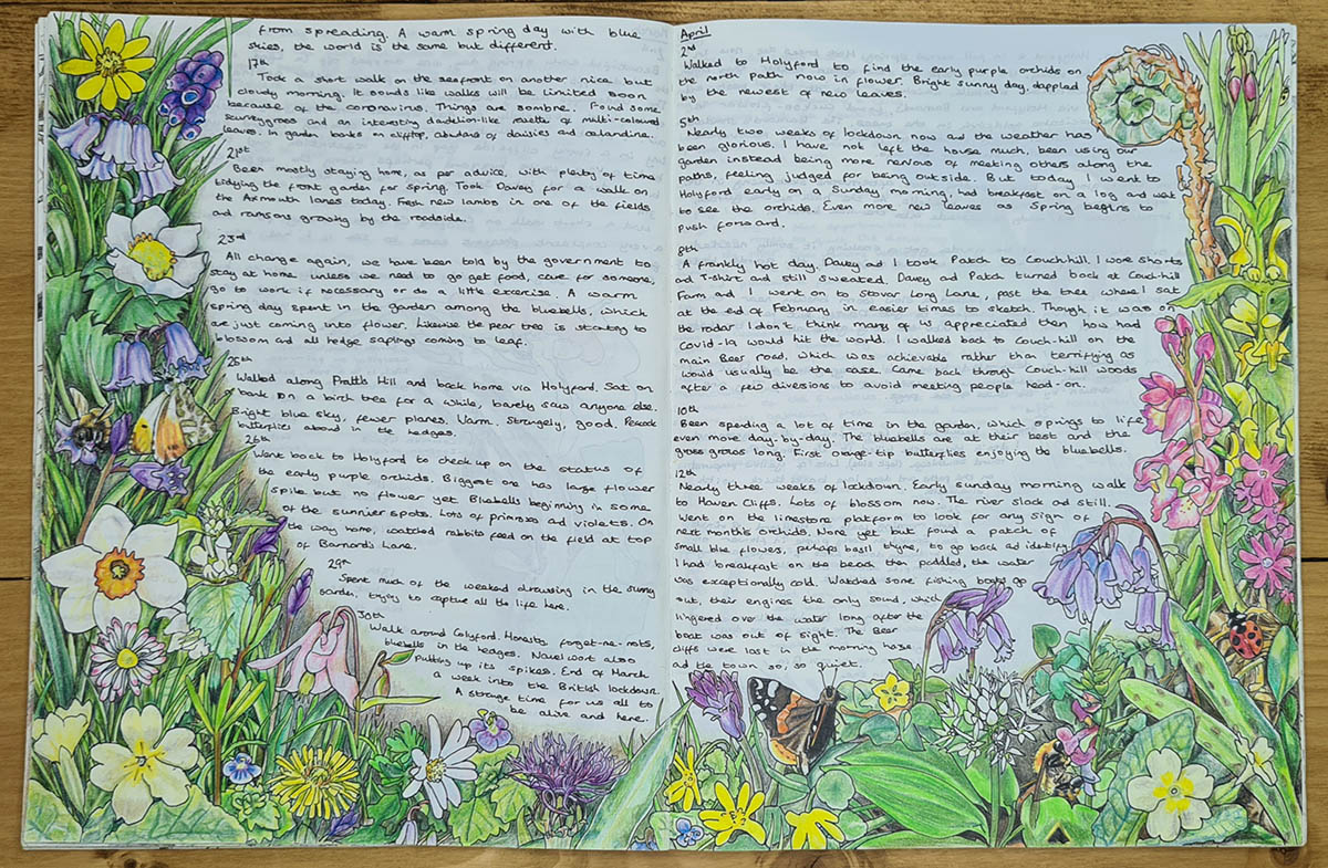 Home - Alex Boon Art