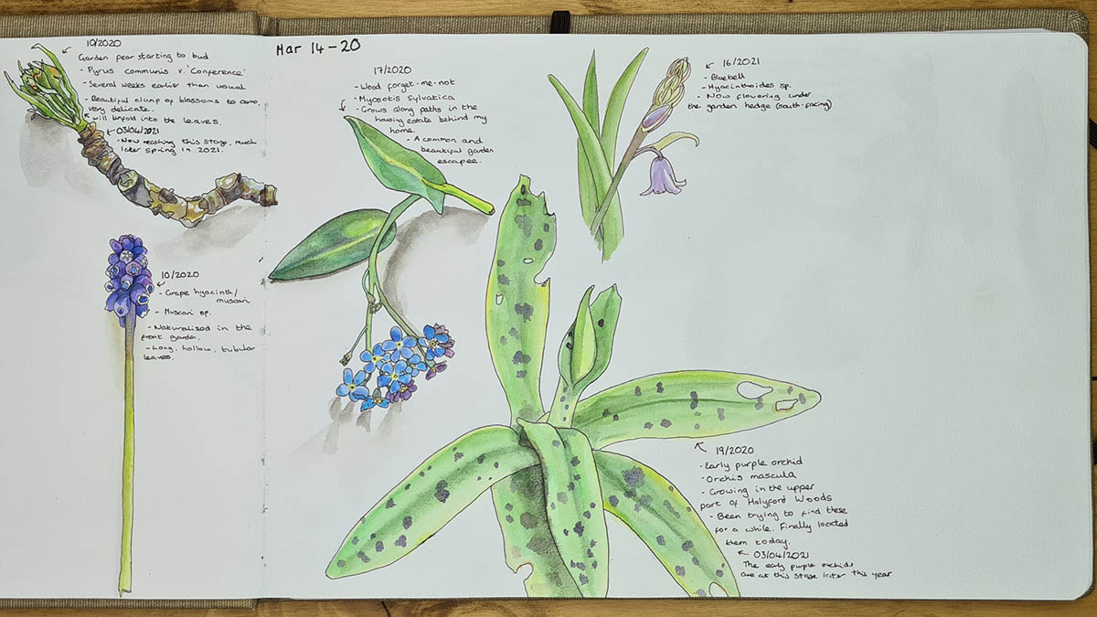 Home - Alex Boon Art