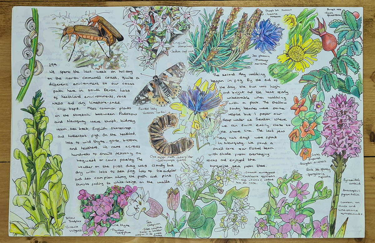 Home - Alex Boon Art