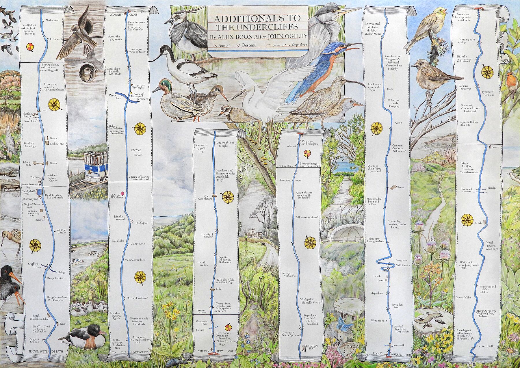 Mapping the Undercliffs - A Special Nature Journaling Project - Alex ...