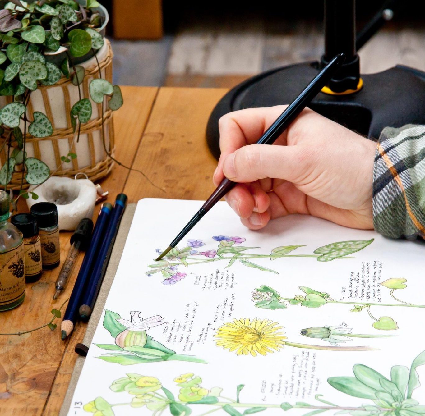 Home - Alex Boon Art