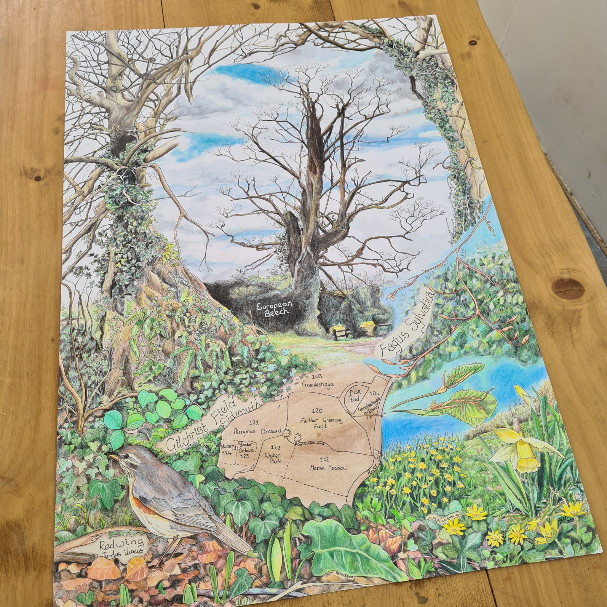 Nature Journaling to Preserve a Memory - Alex Boon Art