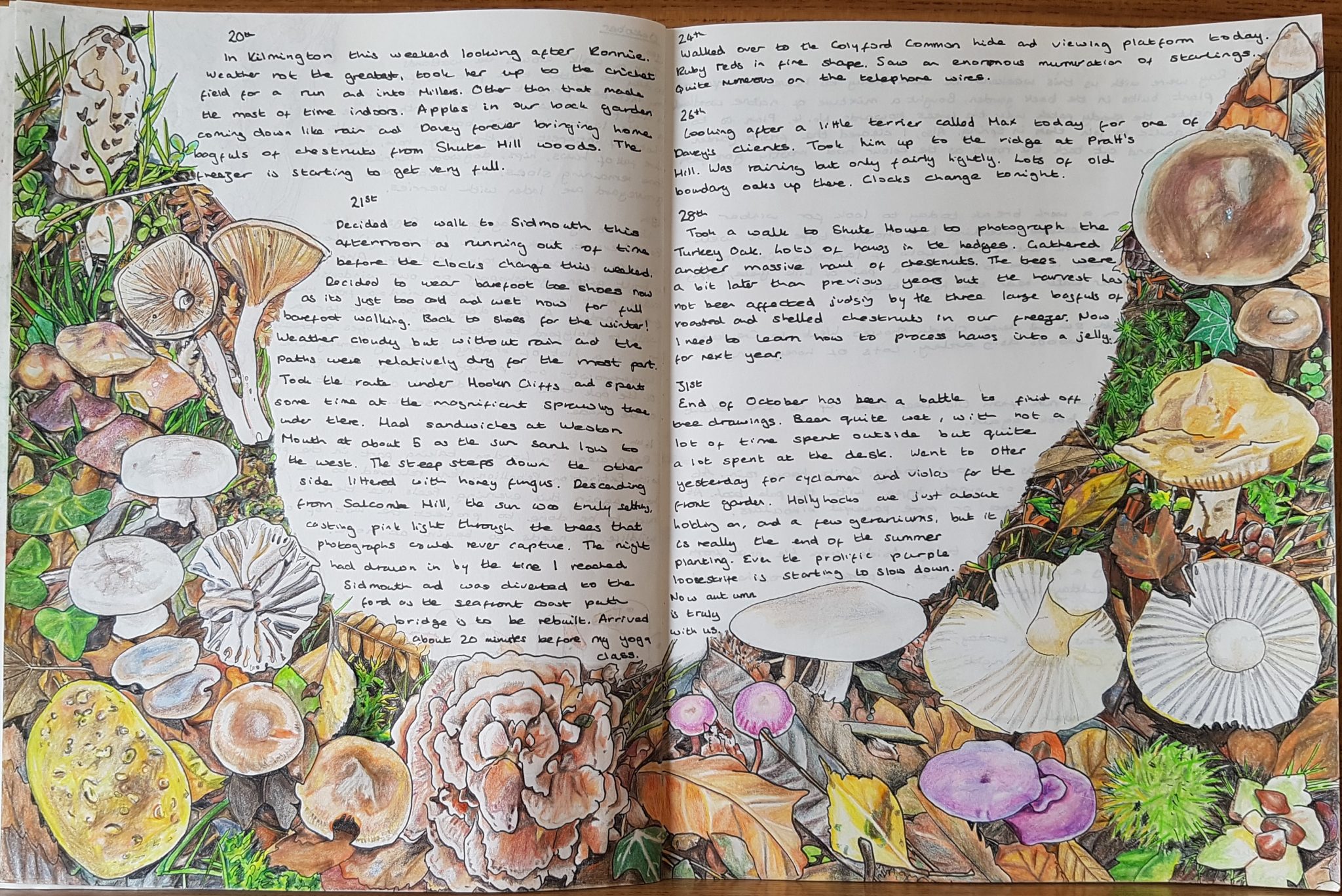 Nature Journaling - Alex Boon Art
