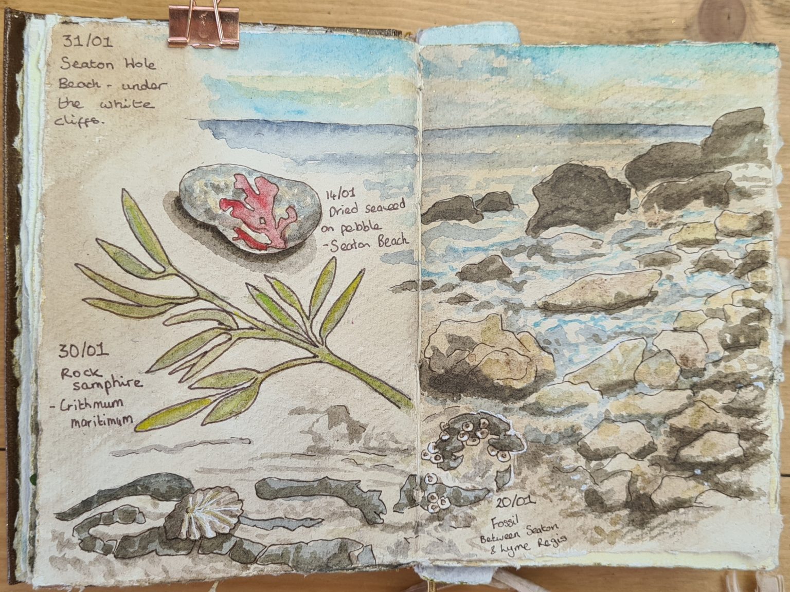 Nature Journaling - Alex Boon Art