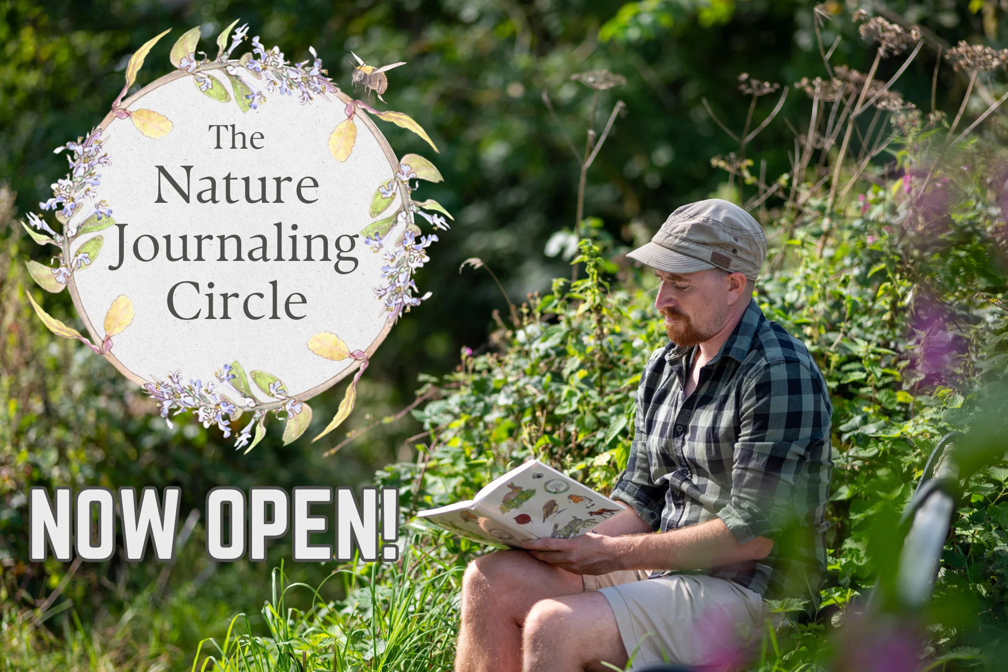 Home - Alex Boon Art