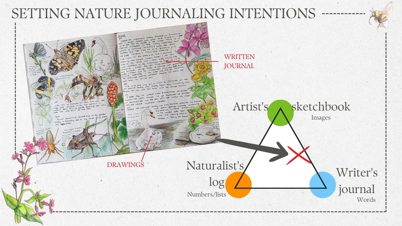What is a Nature Journal? - Alex Boon Art