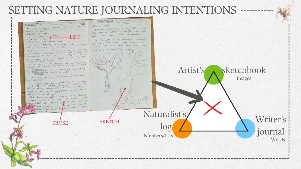 What is a Nature Journal? - Alex Boon Art