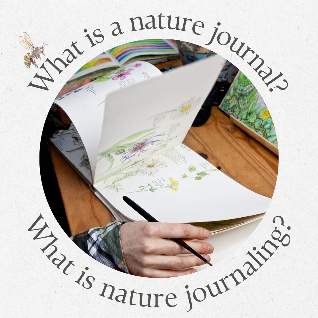What is a Nature Journal? - Alex Boon Art