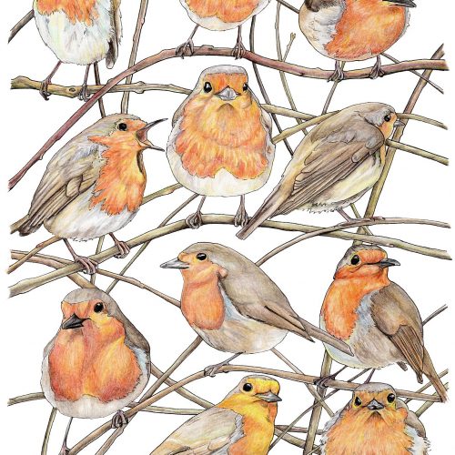 Home - Alex Boon Art