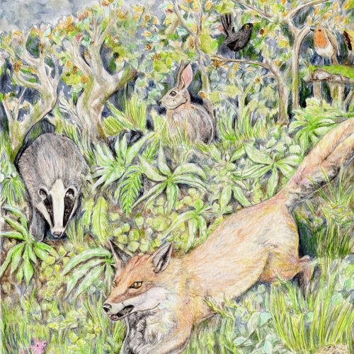 Home - Alex Boon Art