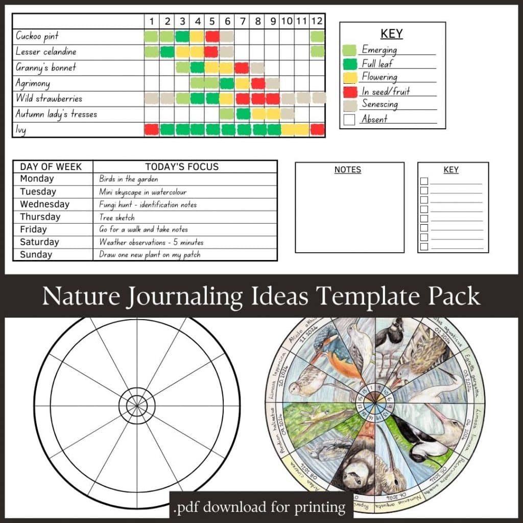 Nature Journaling Ideas Template Pack - Alex Boon Art