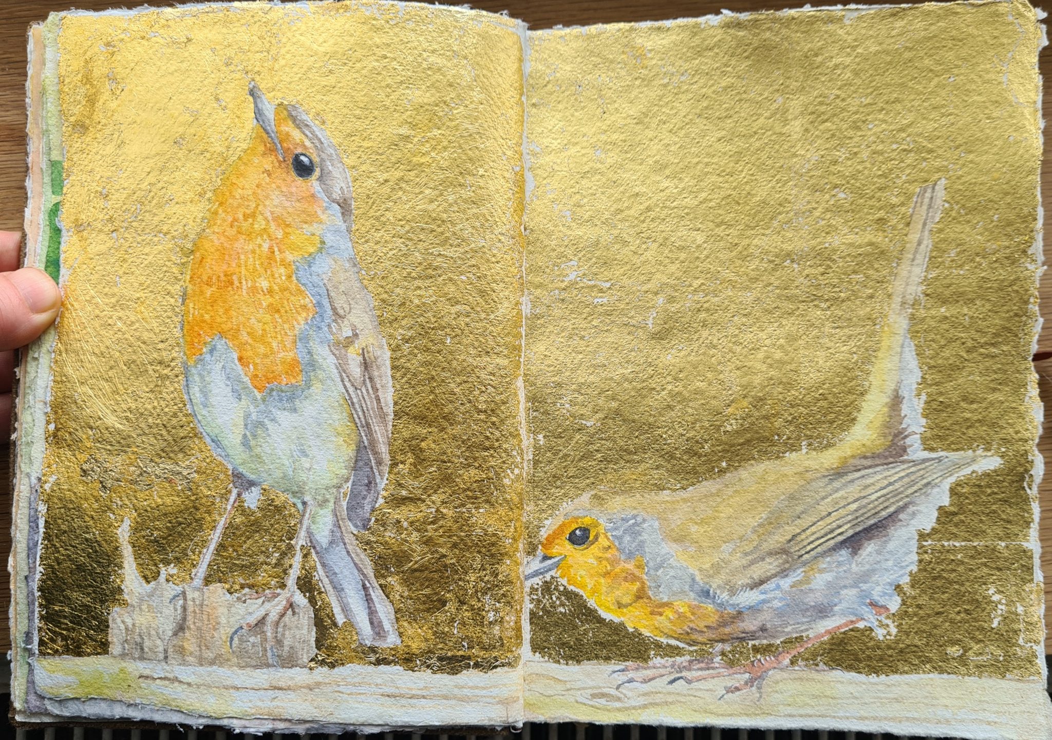 Microseasons Project: Season #7 Robins Posture and Pair - Alex Boon Art